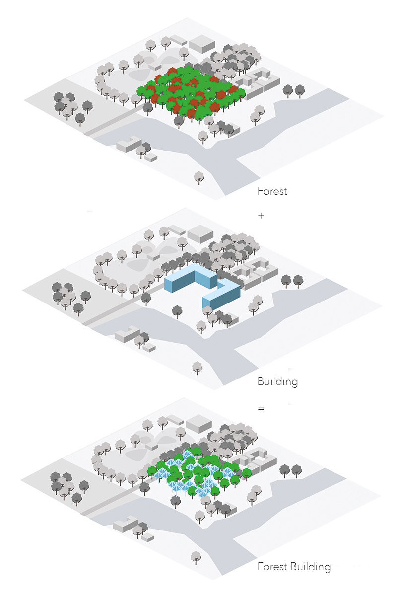 The Forest in the City - Zhenqi Wang