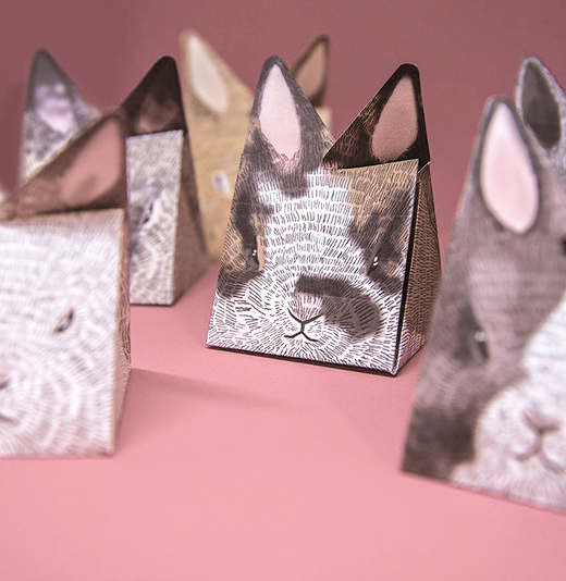 Bunny Wrap Design - Zhenqi Wang