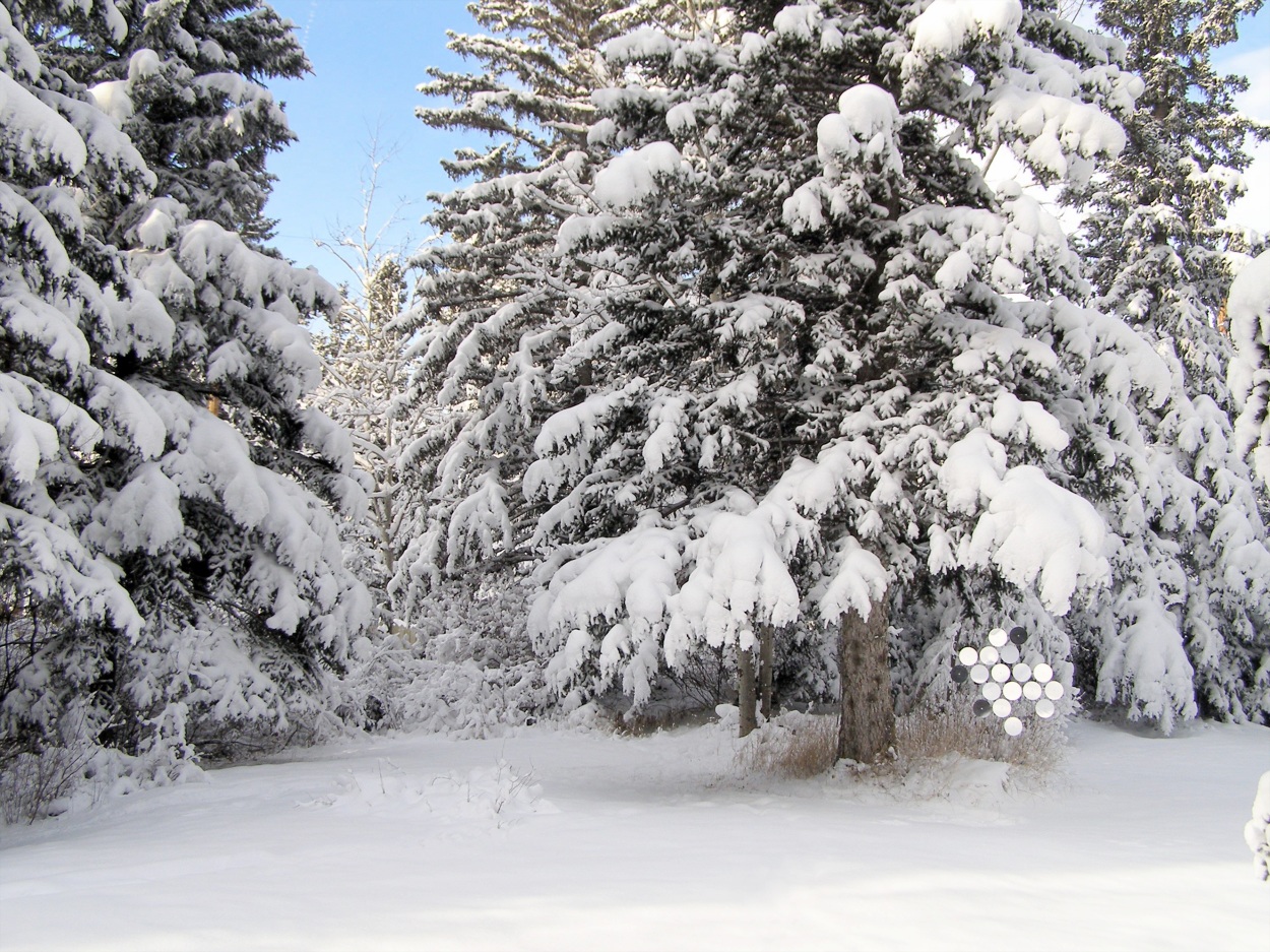 Reflective Landscape - 2011 - Lukas Peet Design