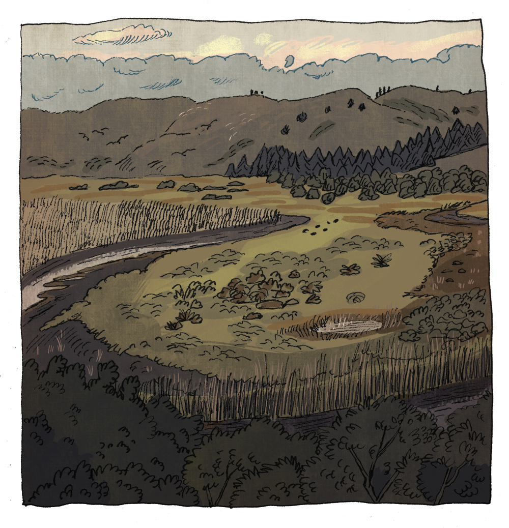 Location drawing - Tor Freeman