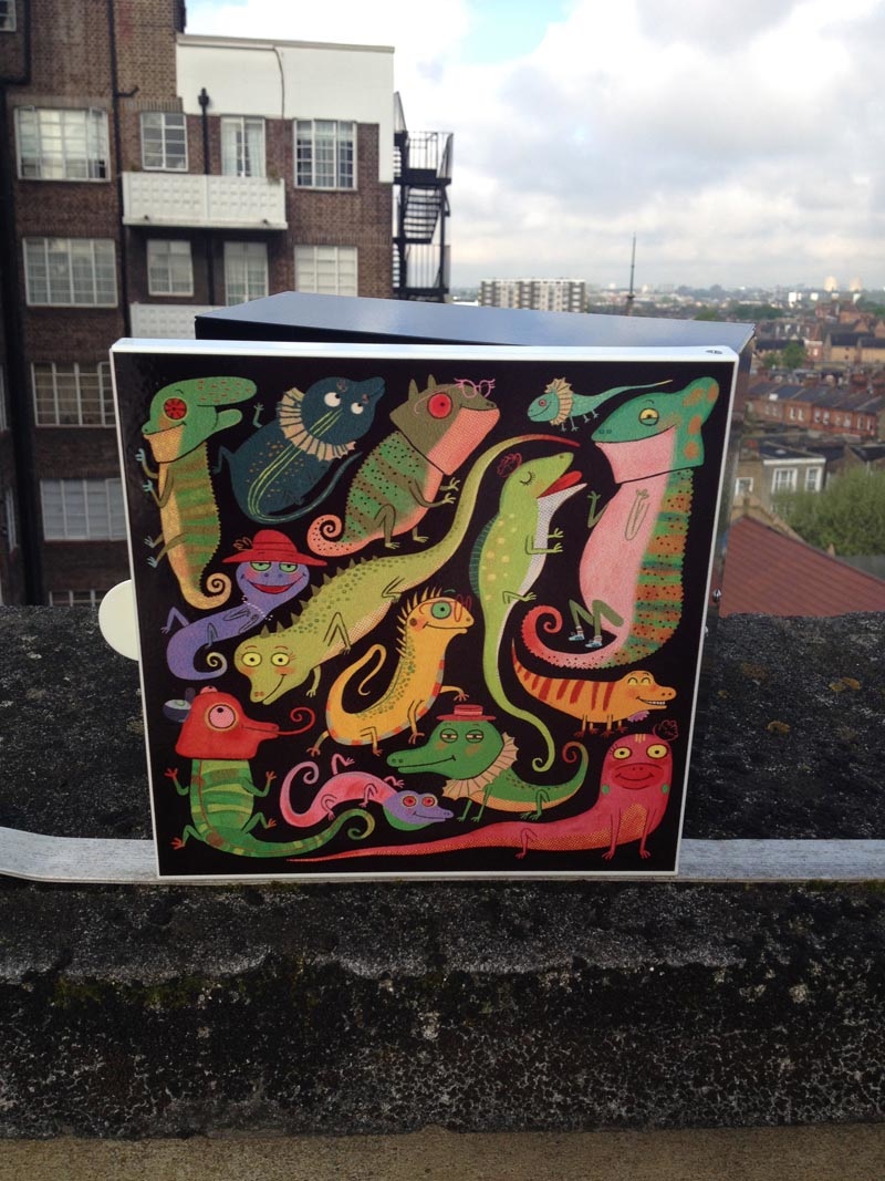 Lizard box - Tor Freeman