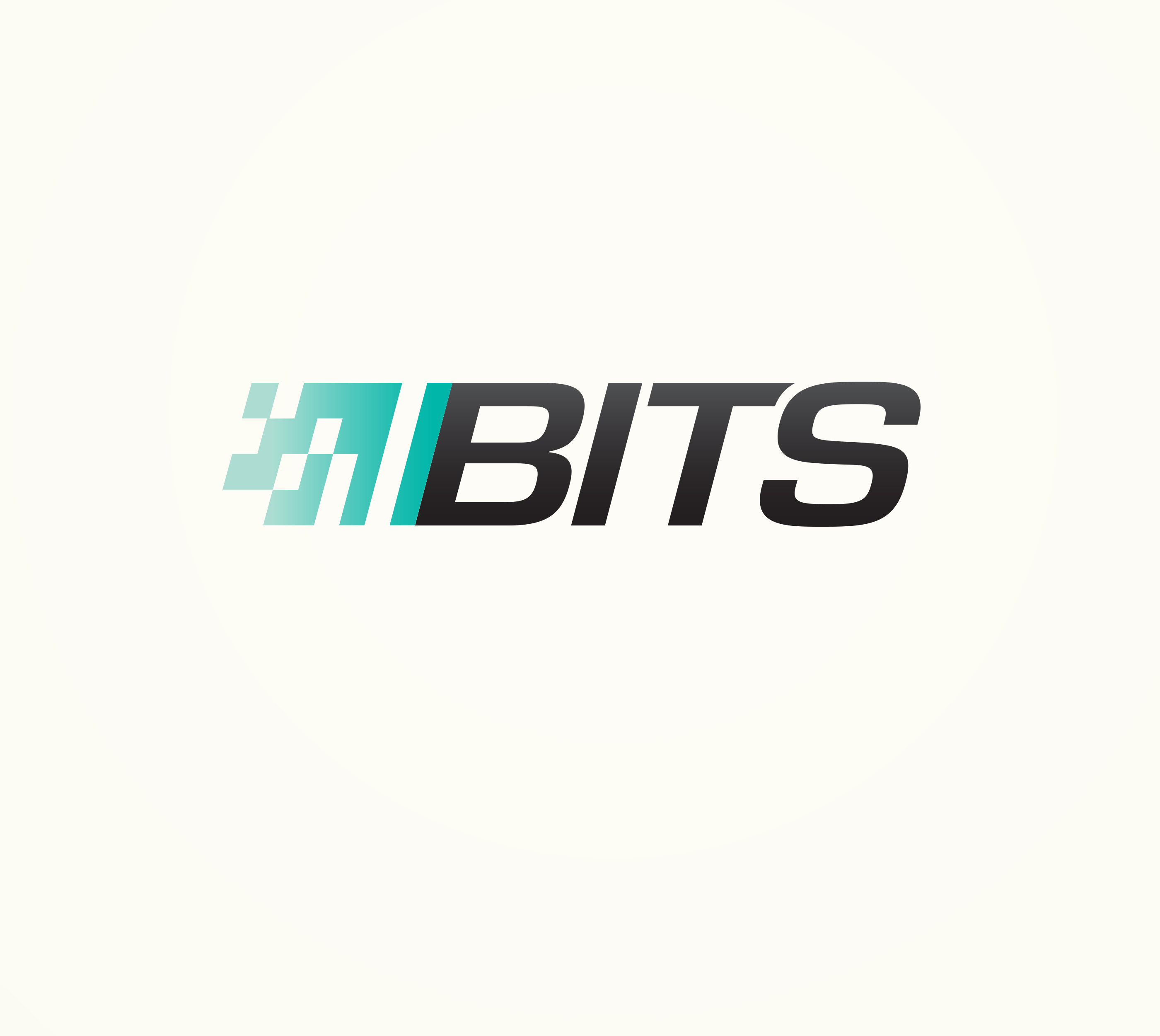 BITS Logo Proposal - The Bear is Brown