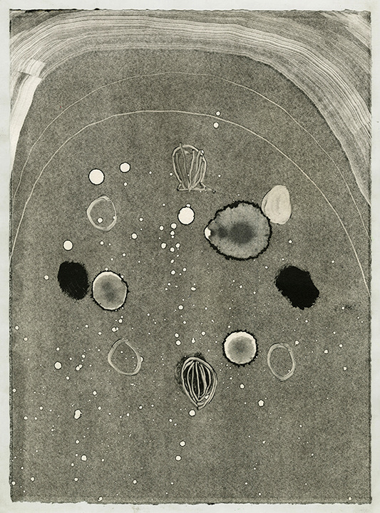 Brooke Inman Portfolio - Portfolio