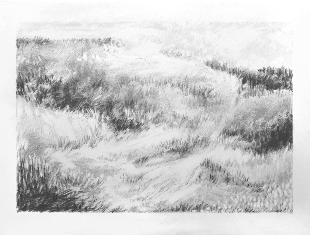 Body as Landscape - Daiana Oneto