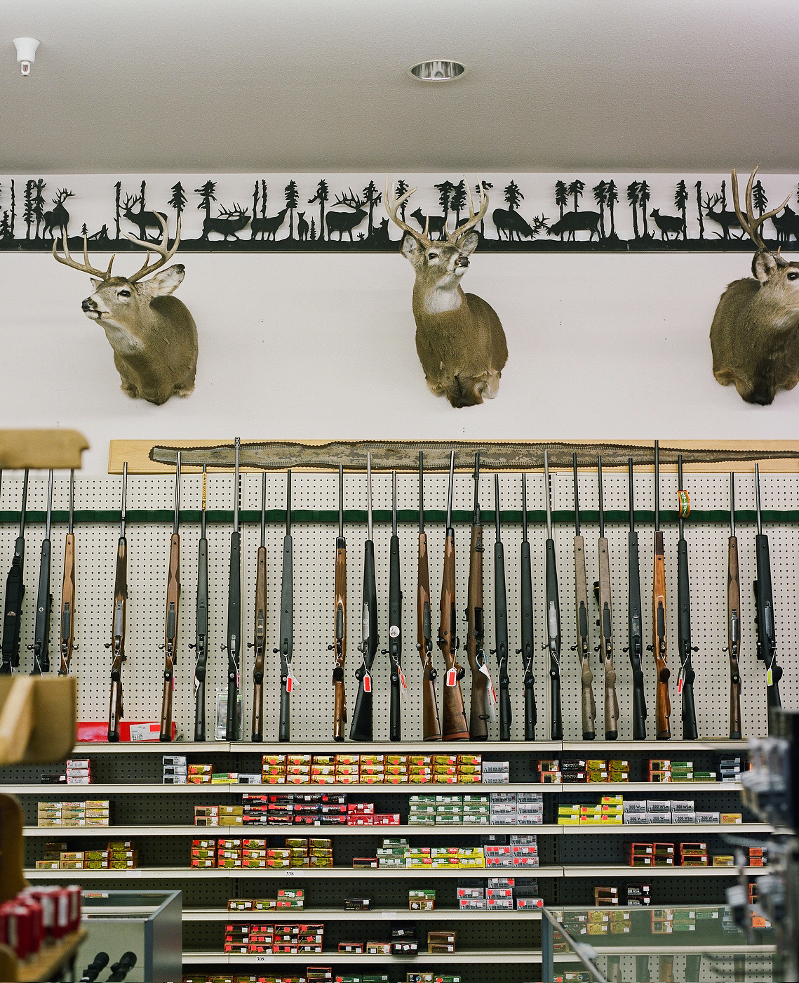 Trophy Rooms - robertbenson.com