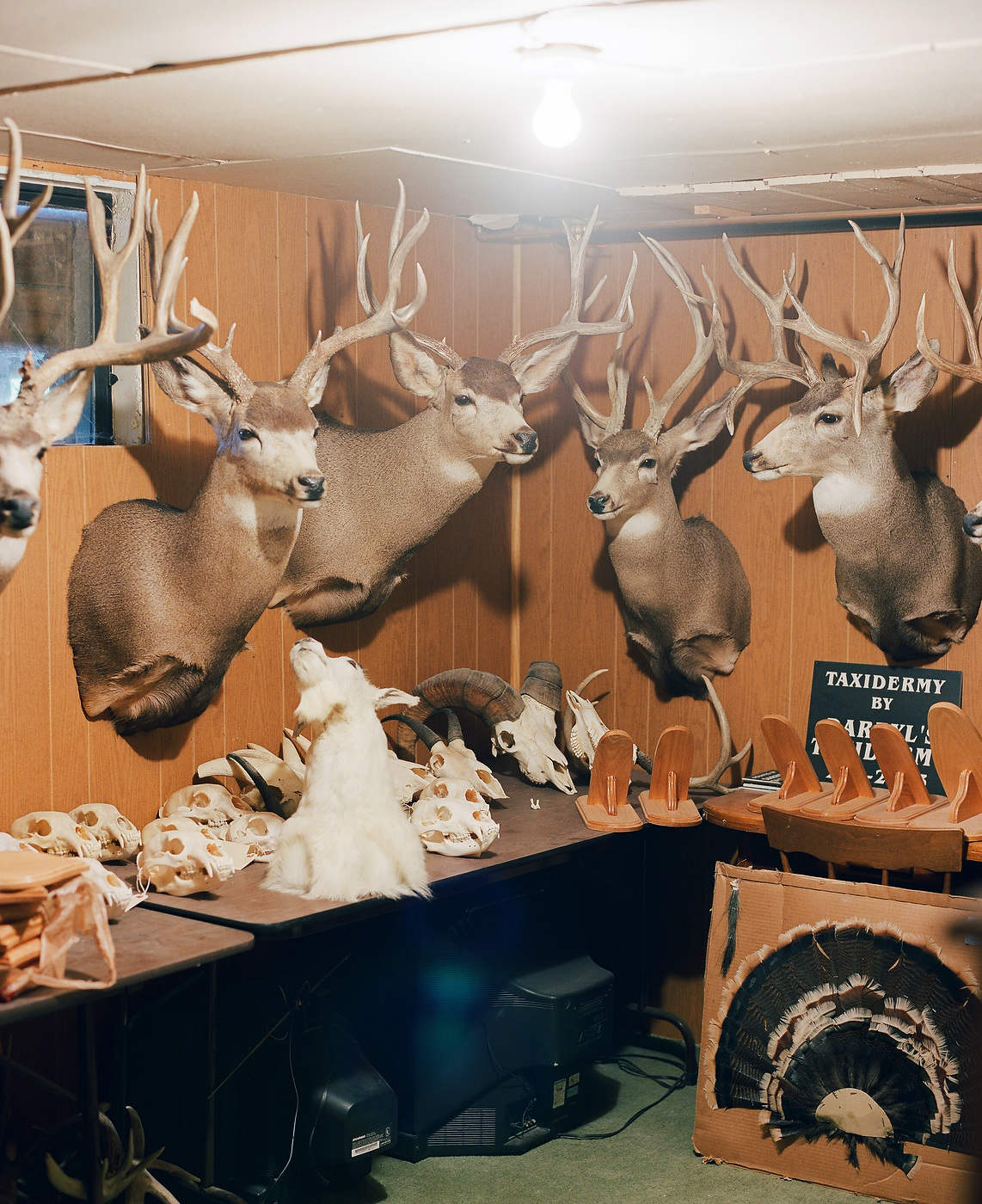 Trophy Rooms - robertbenson.com