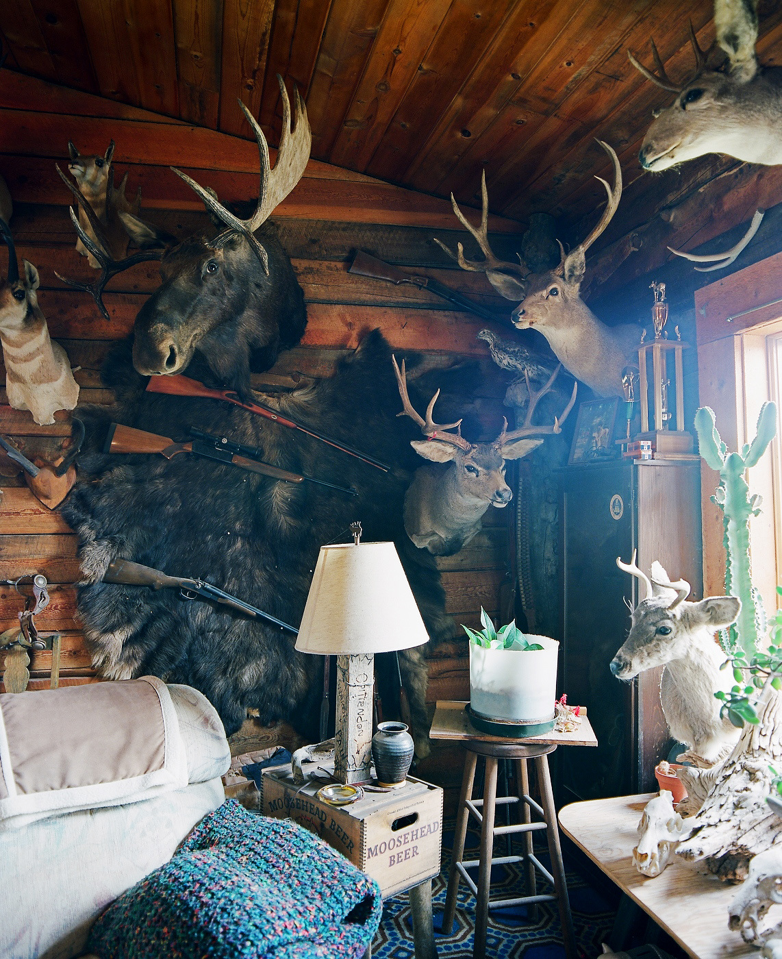 Trophy Rooms - robertbenson.com