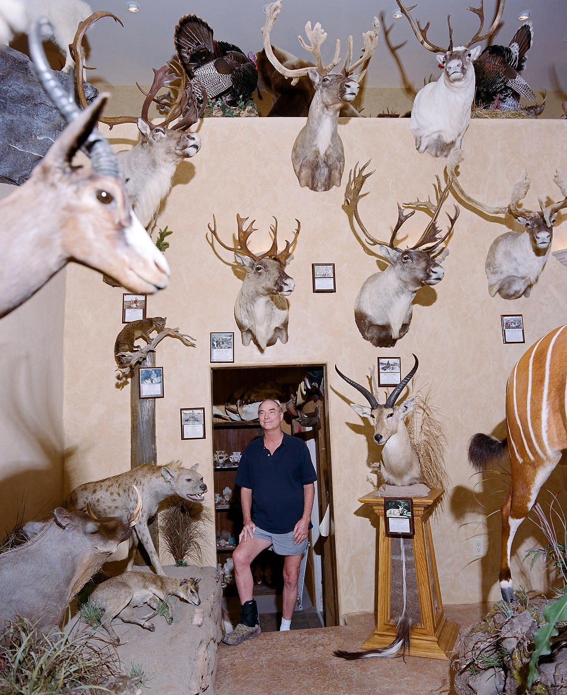 Trophy Rooms - robertbenson.com