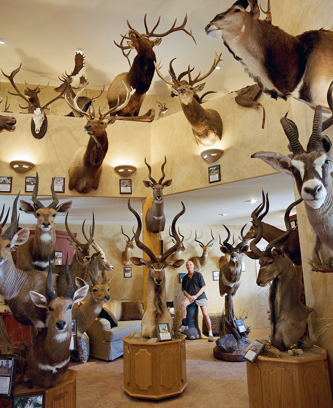 Trophy Rooms - robertbenson.com