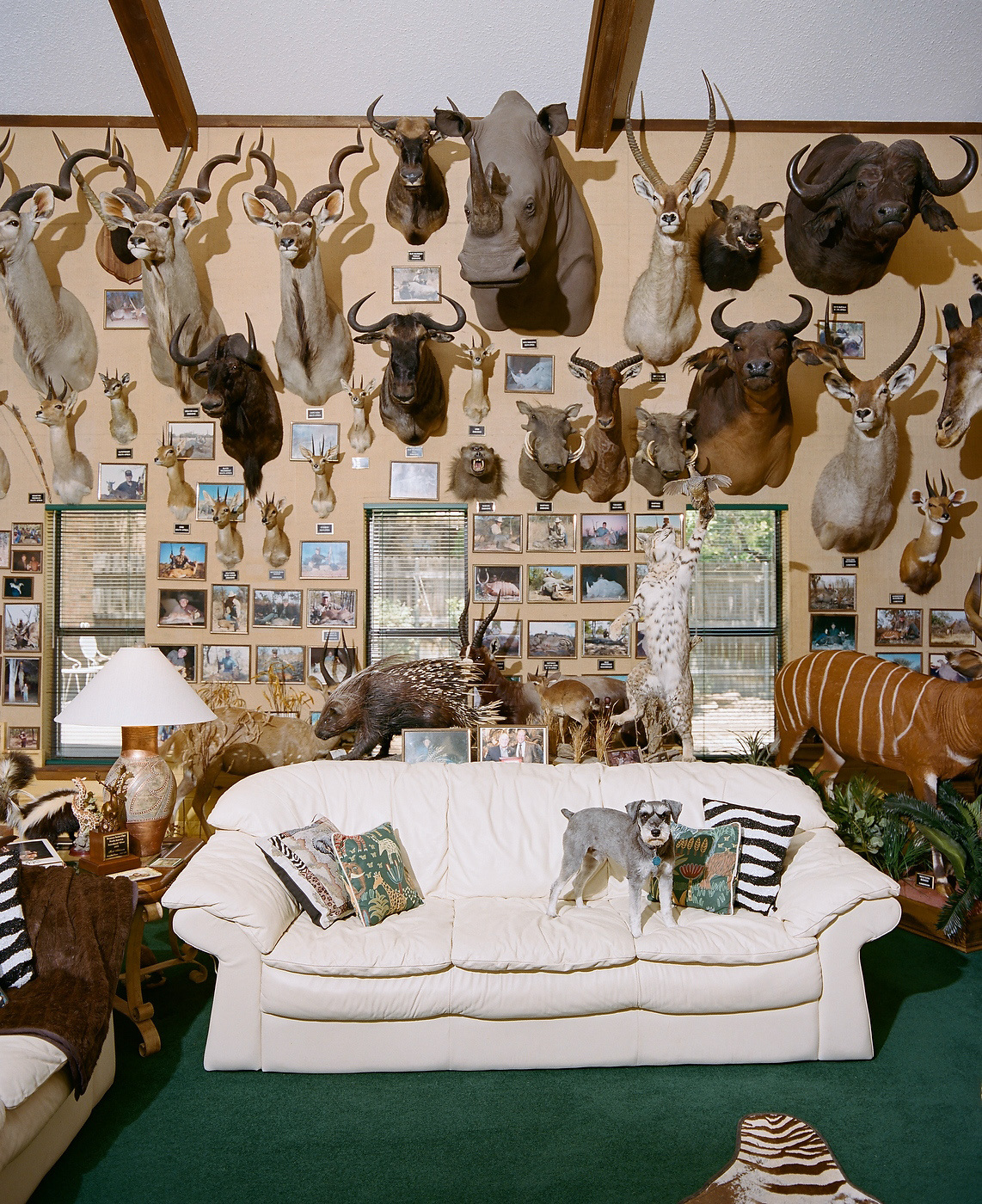 Trophy Rooms - robertbenson.com