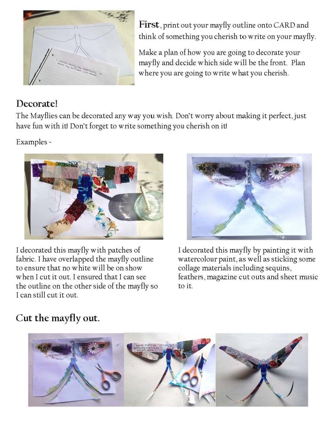 How to create your own mayfly - Project Mayfly