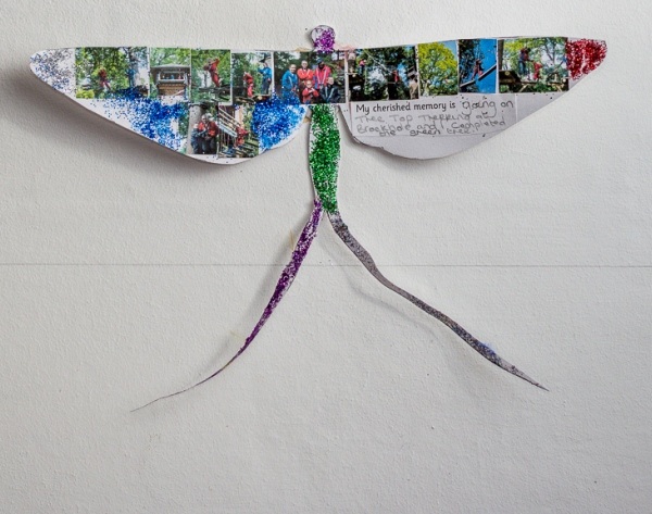 Ashfield Infants School's Mayflies - Project Mayfly