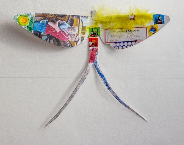 Ashfield Infants School's Mayflies - Project Mayfly
