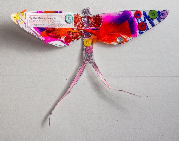 Ashfield Infants School's Mayflies - Project Mayfly