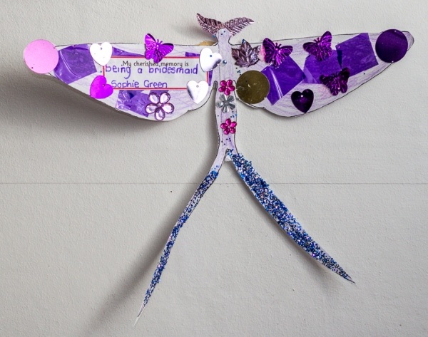 Ashfield Infants School's Mayflies - Project Mayfly