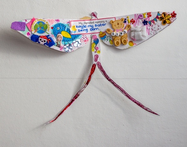 Ashfield Infants School's Mayflies - Project Mayfly