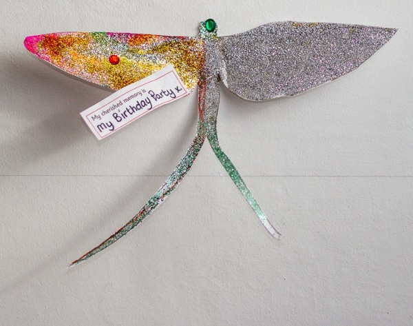 Ashfield Infants School's Mayflies - Project Mayfly