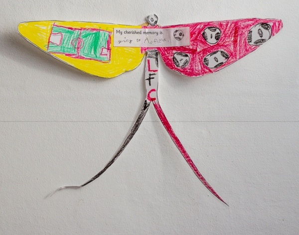 Ashfield Infants School's Mayflies - Project Mayfly
