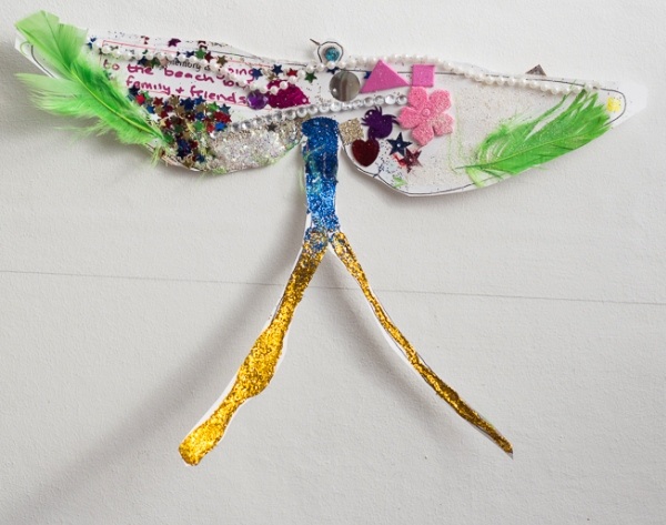 Ashfield Infants School's Mayflies - Project Mayfly
