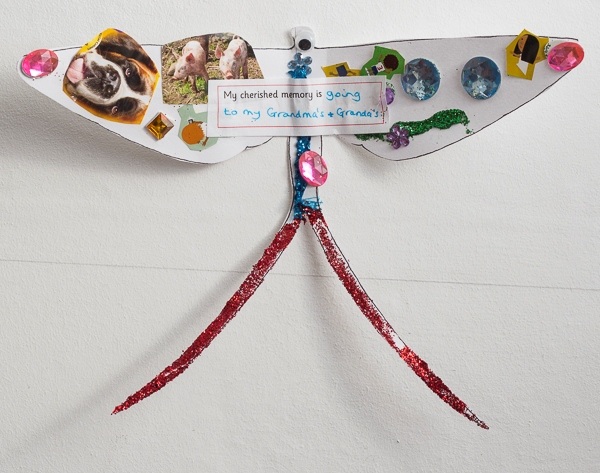 Ashfield Infants School's Mayflies - Project Mayfly