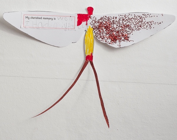 Ashfield Infants School's Mayflies - Project Mayfly