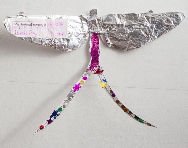 Ashfield Infants School's Mayflies - Project Mayfly