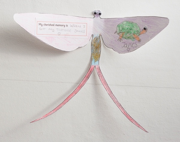 Ashfield Infants School's Mayflies - Project Mayfly
