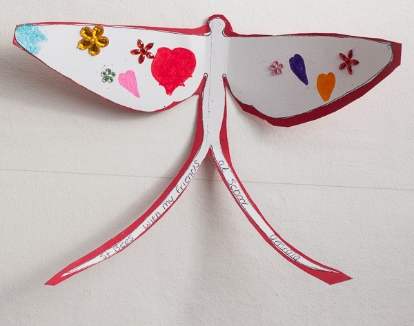 Ashfield Infants School's Mayflies - Project Mayfly