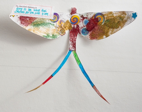 Ashfield Infants School's Mayflies - Project Mayfly