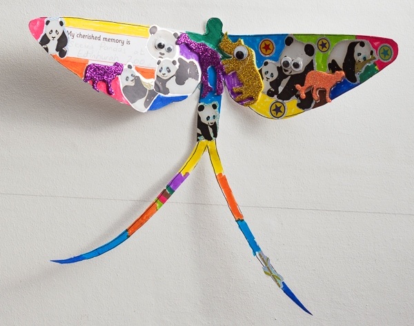 Ashfield Infants School's Mayflies - Project Mayfly