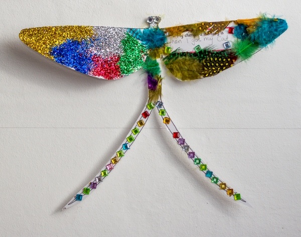 Ashfield Infants School's Mayflies - Project Mayfly