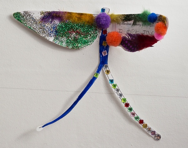 Ashfield Infants School's Mayflies - Project Mayfly
