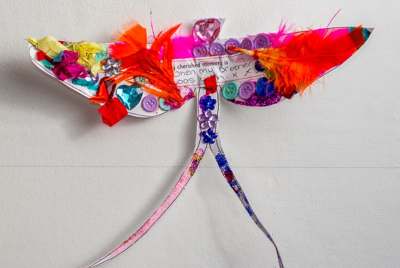 Ashfield Infants School's Mayflies - Project Mayfly