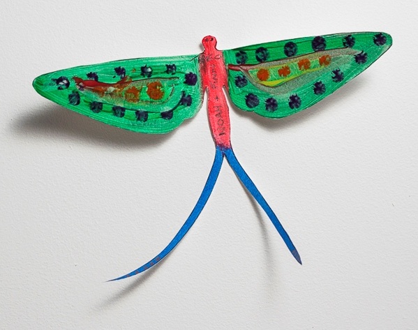 The Rheged Centre's Mayflies - Project Mayfly