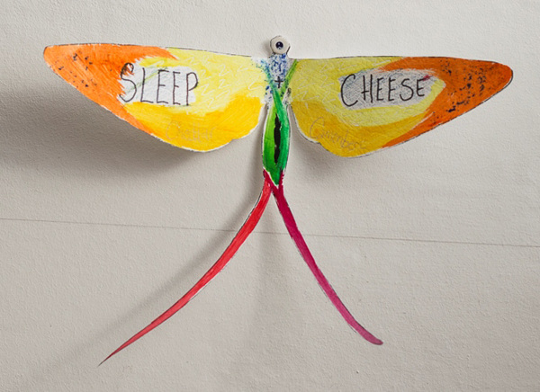 The Rheged Centre's Mayflies - Project Mayfly