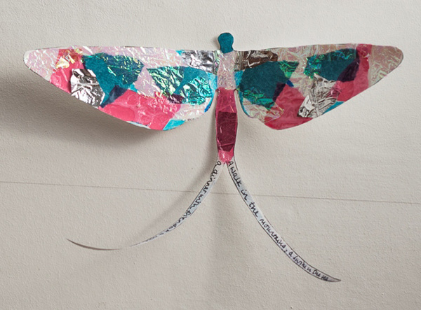 The Rheged Centre's Mayflies - Project Mayfly