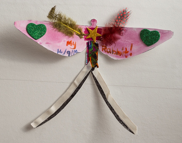 The Rheged Centre's Mayflies - Project Mayfly