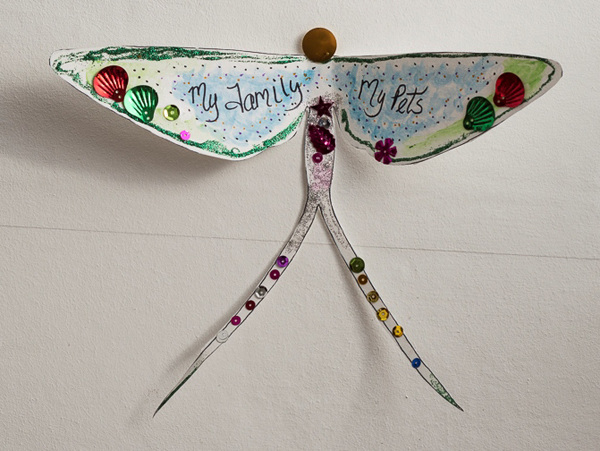 The Rheged Centre's Mayflies - Project Mayfly