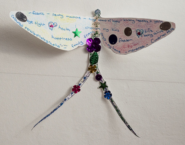 The Rheged Centre's Mayflies - Project Mayfly