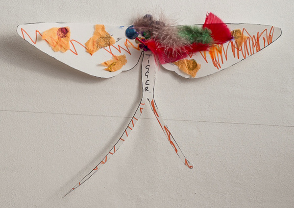 The Rheged Centre's Mayflies - Project Mayfly