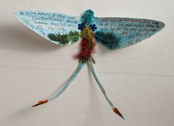 The Rheged Centre's Mayflies - Project Mayfly