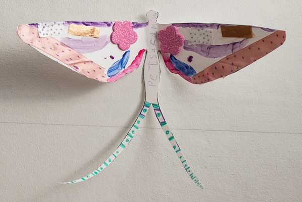 The Rheged Centre's Mayflies - Project Mayfly