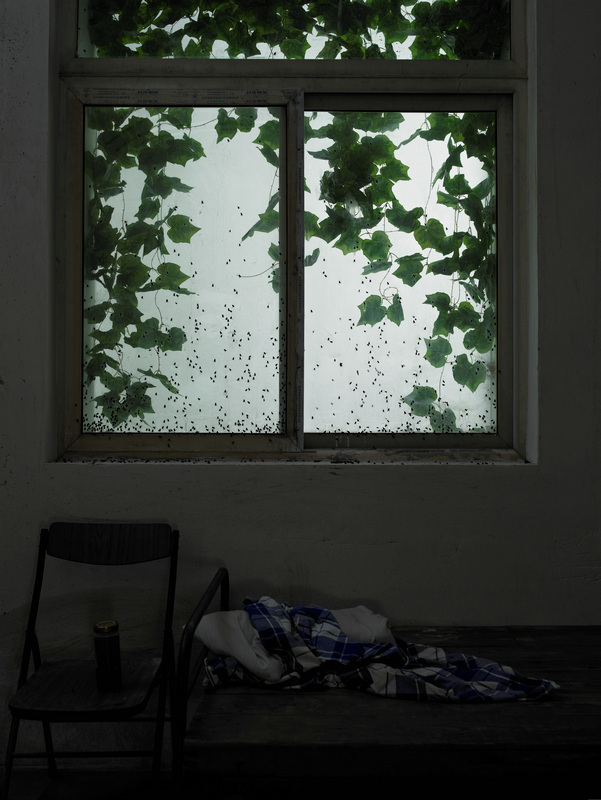 The Second Room - www.liwei-liwei.com