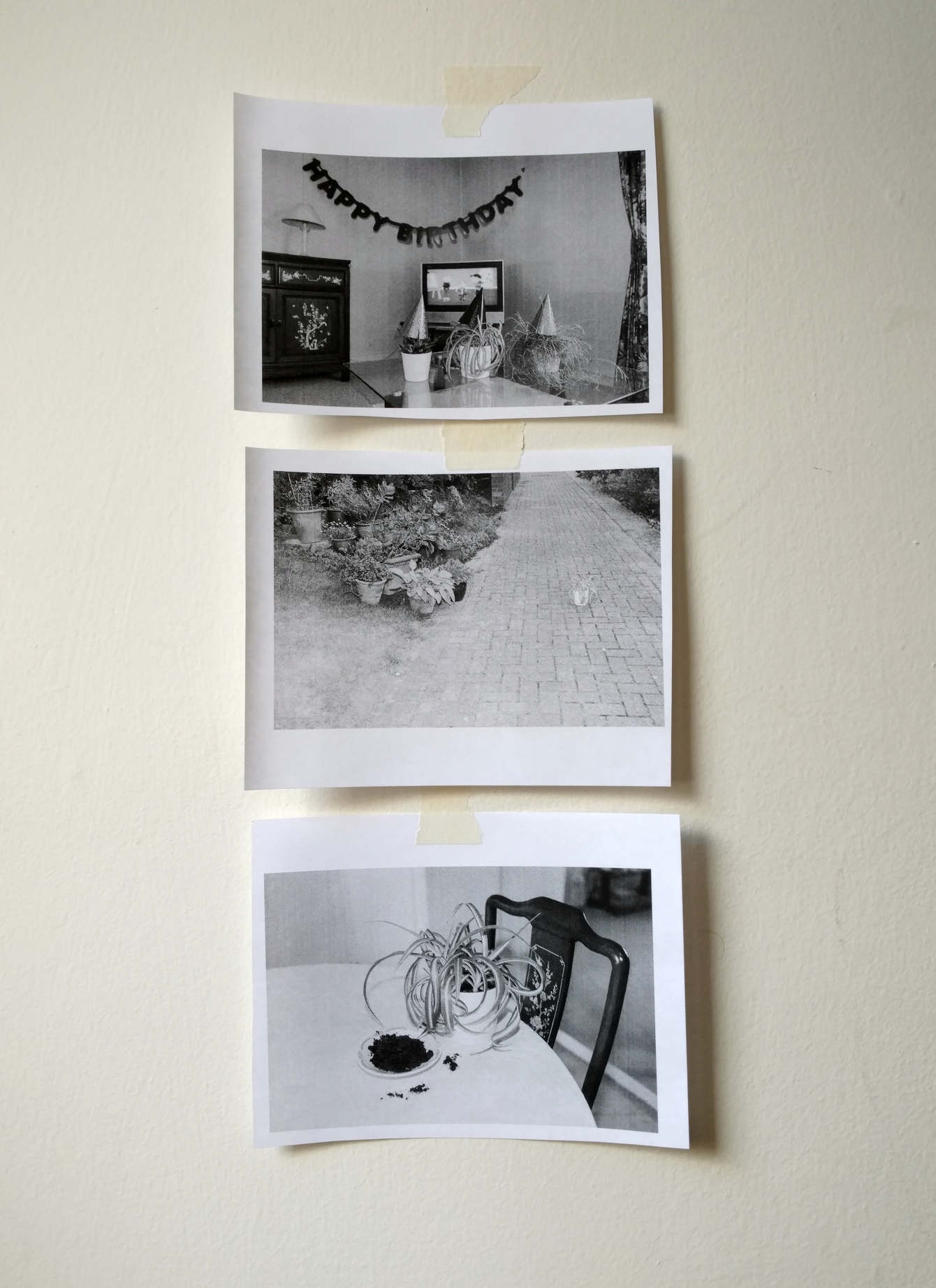 Fiona Filipidis - Streit House Space