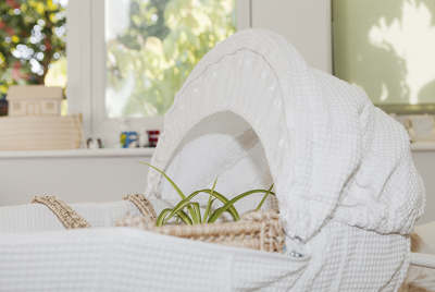 Fiona Filipidis - Streit House Space