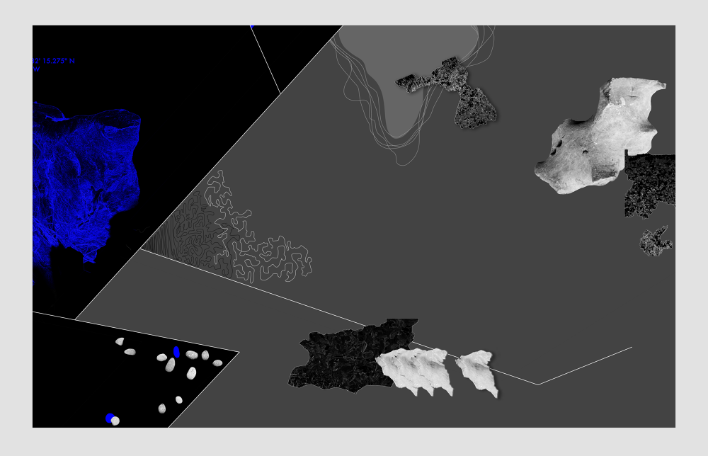 Unidentified - Xiaohan Ma