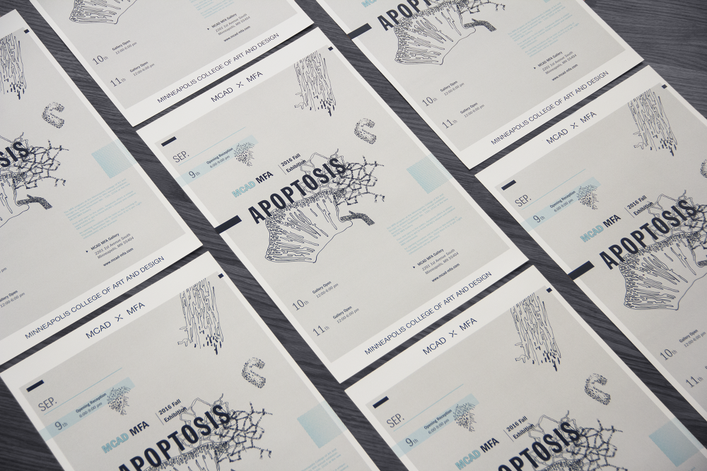 APOPTOSIS - Xiaohan Ma