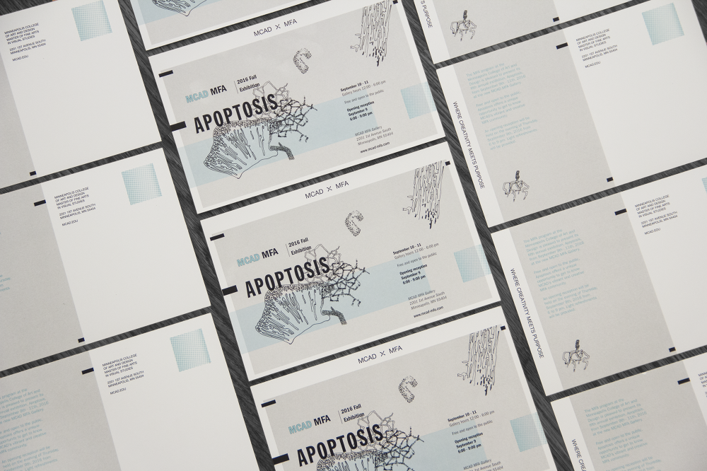 APOPTOSIS - Xiaohan Ma