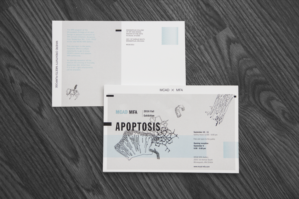 APOPTOSIS - Xiaohan Ma