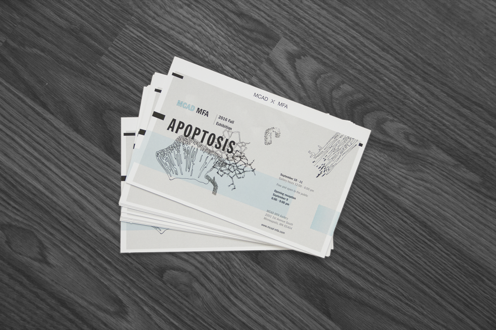 APOPTOSIS - Xiaohan Ma